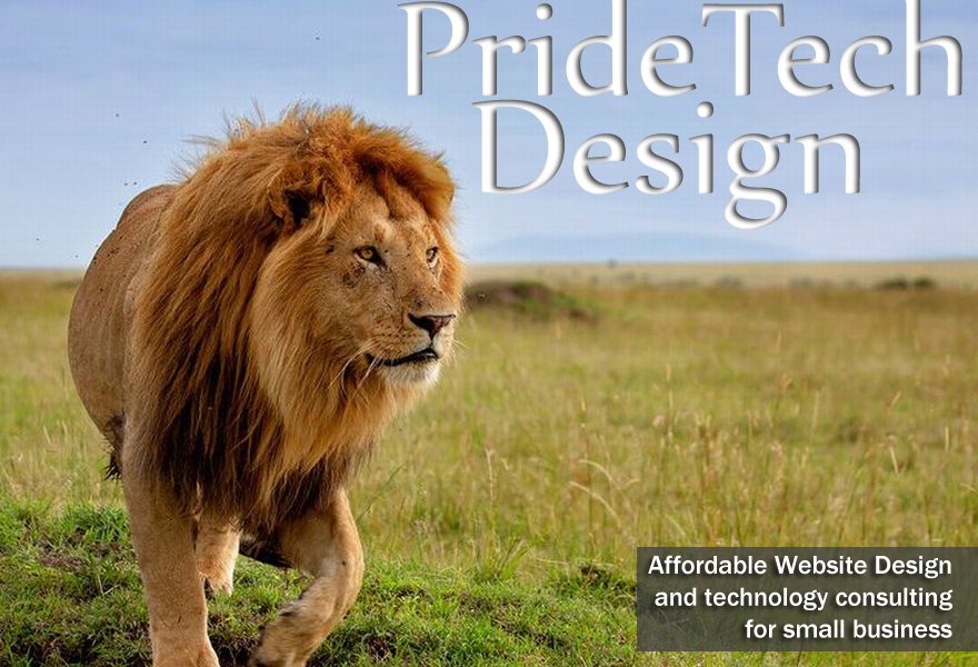 Meet Simba of Pride Tech Design in Athens - Voyage ATL Magazine | ATL ...