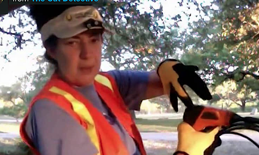 Meet Kimberley Freeman of The Cat Detective in Decatur – Voyage ATL ...