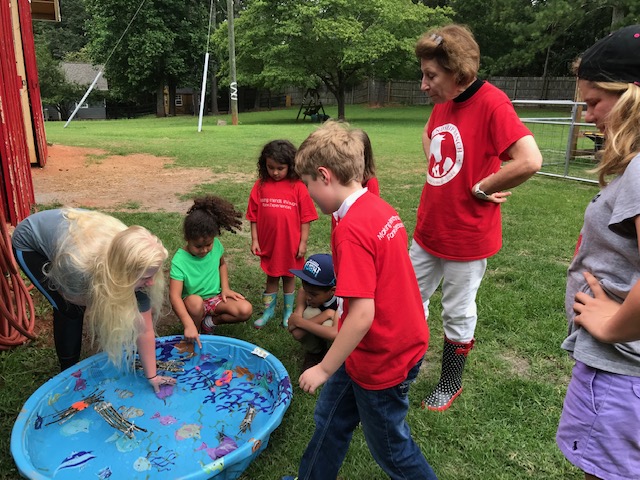 Meet Laurie Botstein and Debbie Braun of Friendship Ranch Camp in ...