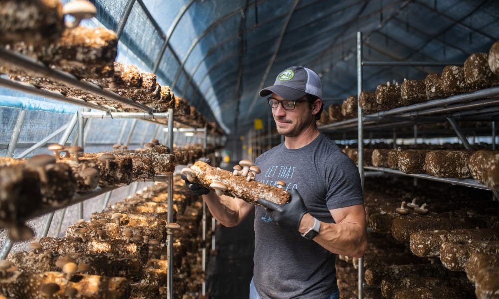 Meet Howard Berk of Ellijay Mushrooms in Brookhaven - Voyage ATL ...