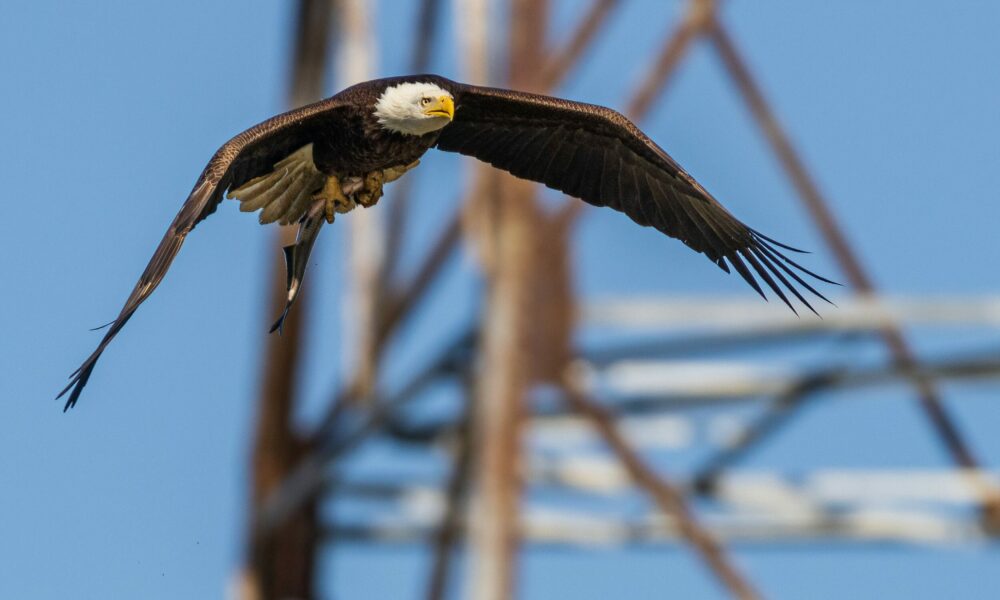 Meet Jeff Rice - Voyage ATL Magazine | ATL City Guide