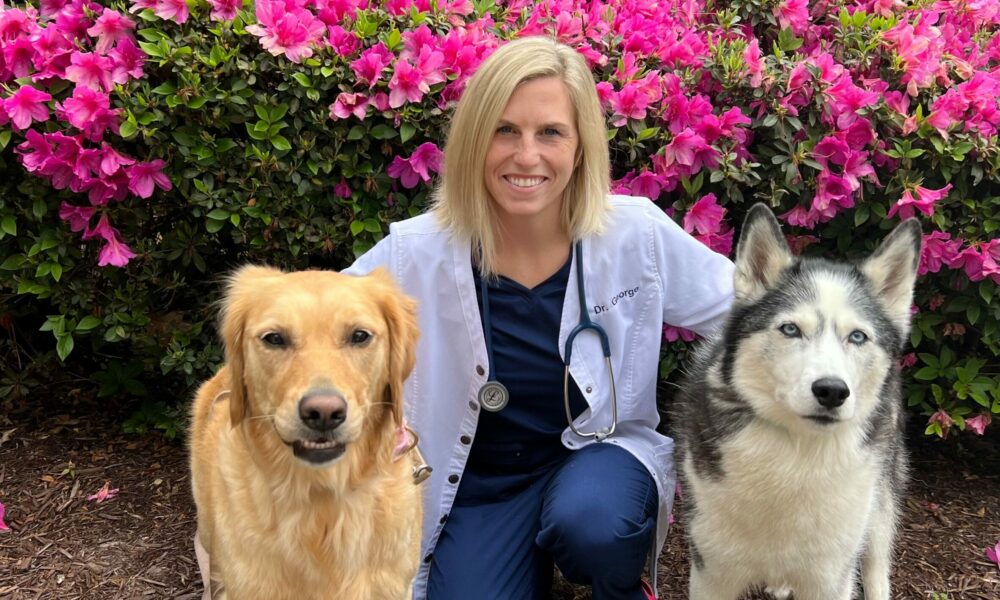 Community Highlights: Meet Erin George of Edgewater Animal Hospital ...