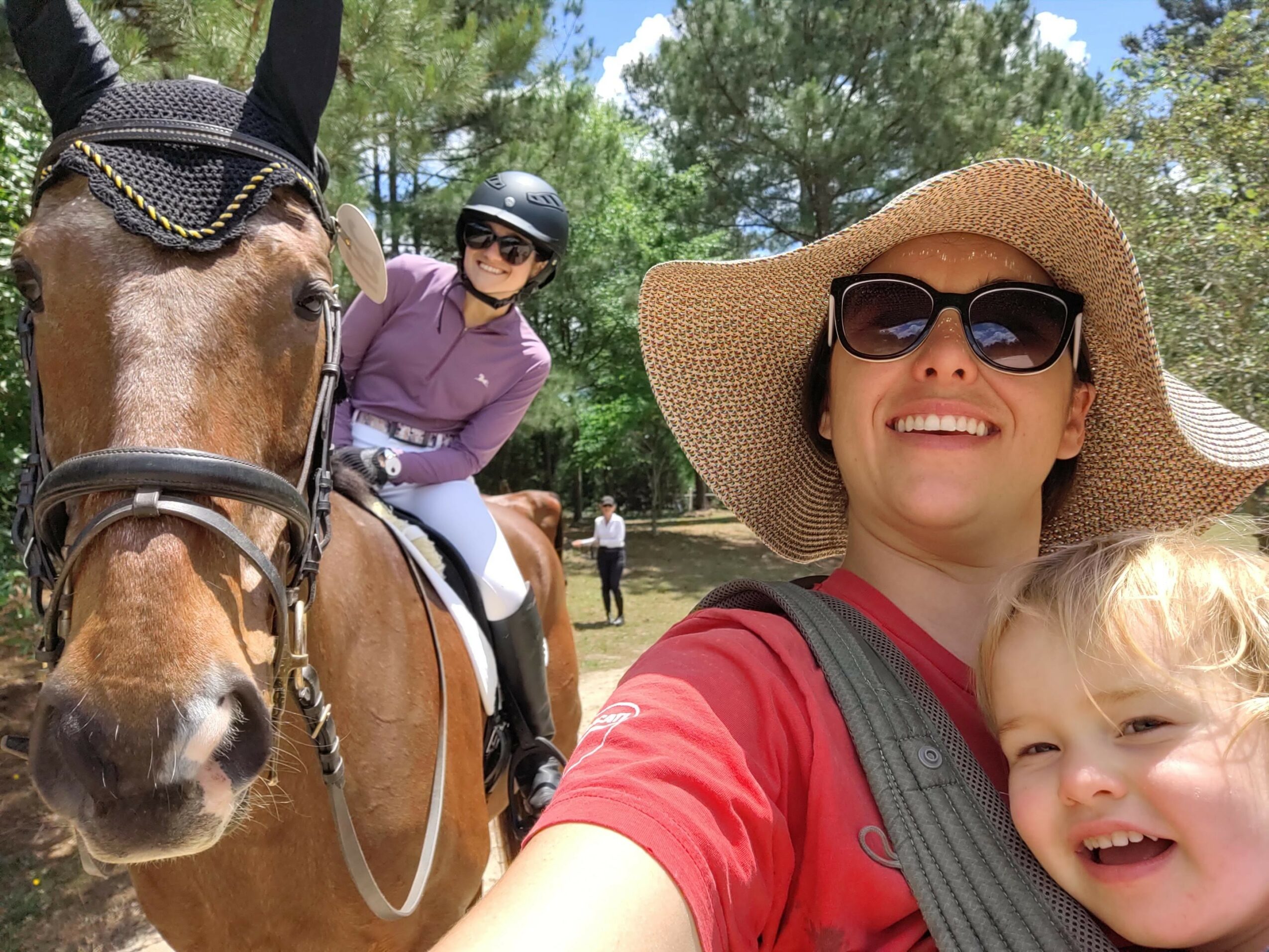 Hidden Gems: Meet Amanda McCoy of Athens Area Horse Community - Voyage ...