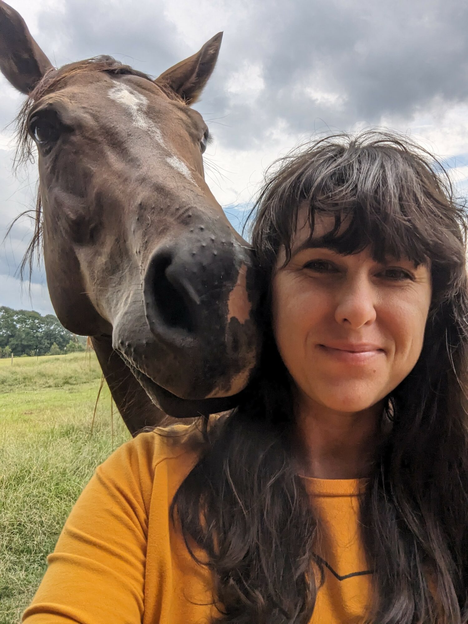 Hidden Gems: Meet Amanda McCoy of Athens Area Horse Community - Voyage ...