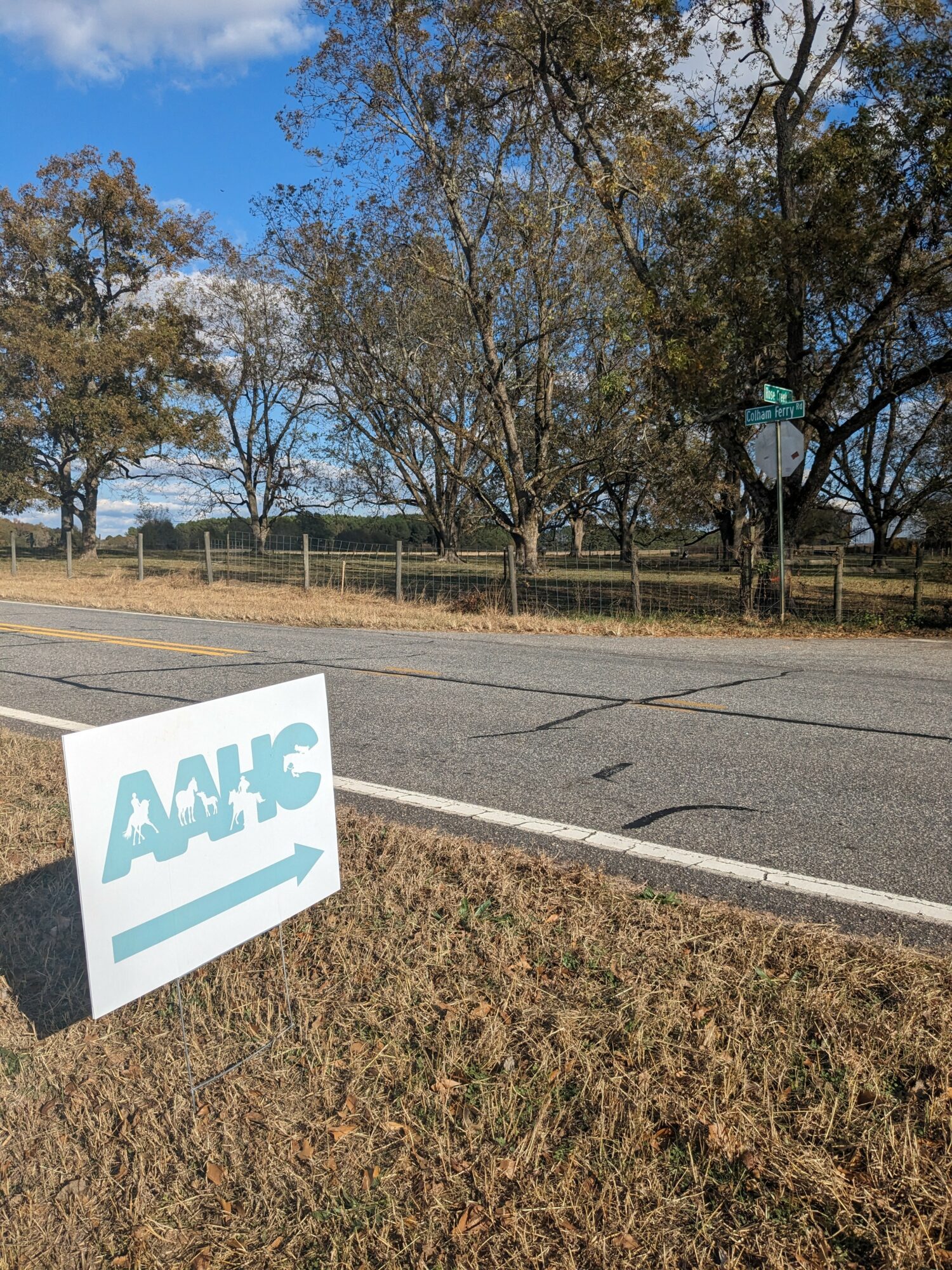 Hidden Gems: Meet Amanda McCoy of Athens Area Horse Community - Voyage ...