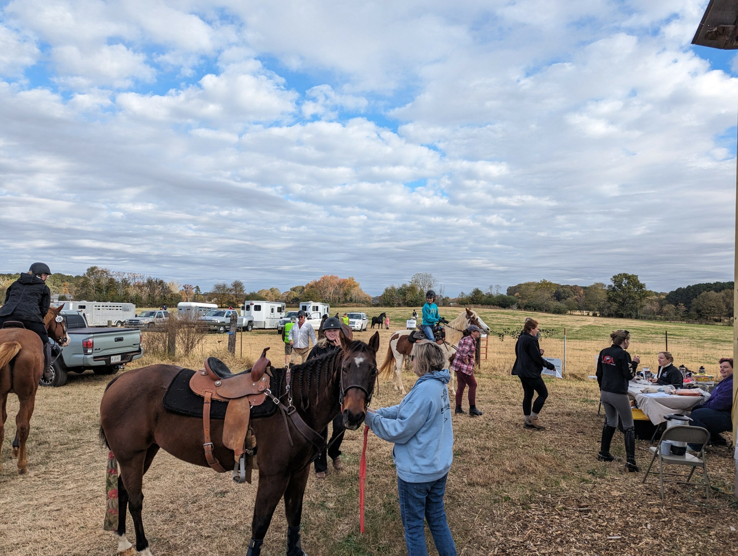 Hidden Gems: Meet Amanda McCoy of Athens Area Horse Community - Voyage ...