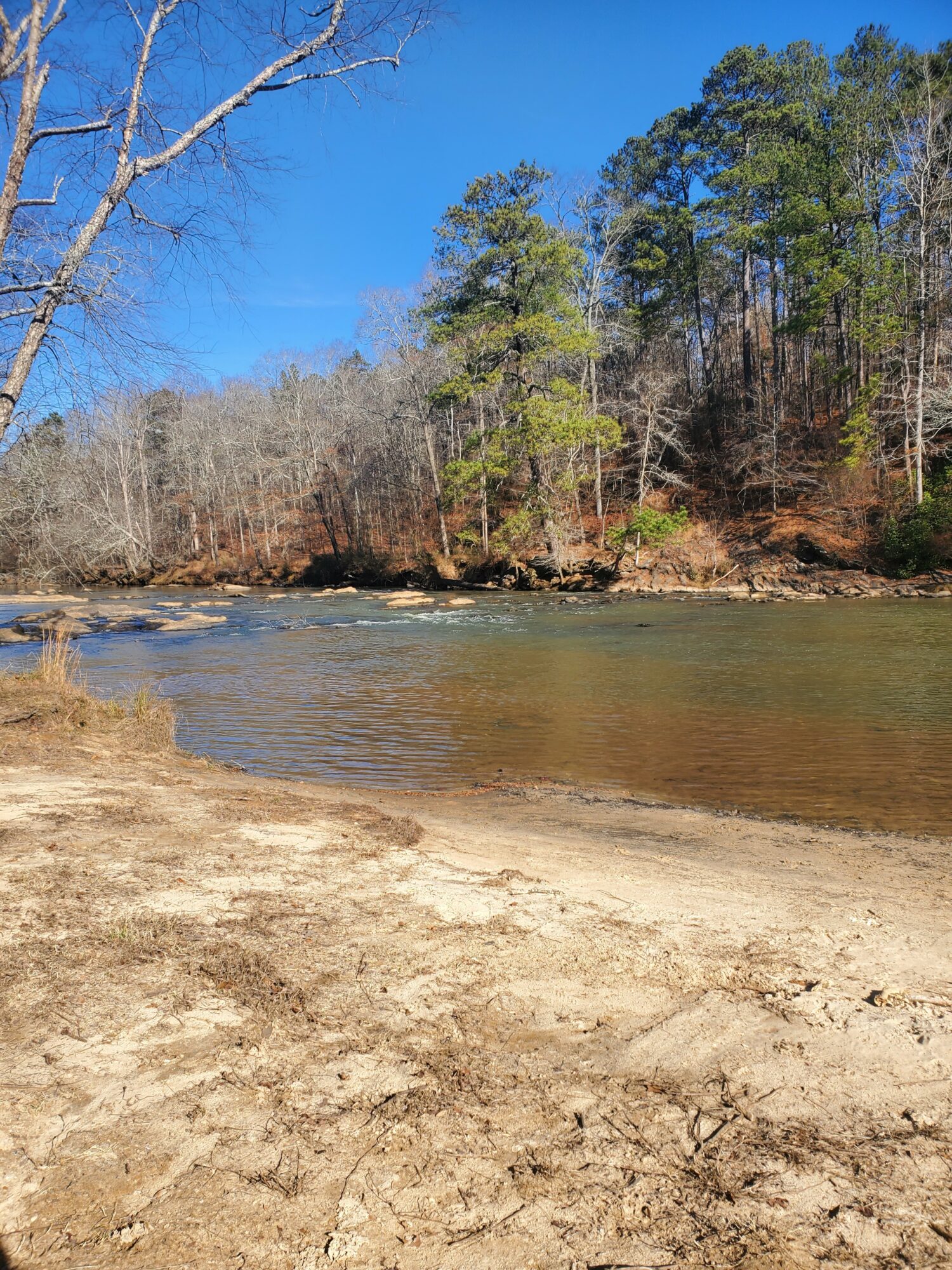 Daily Inspiration: Meet Steven Colbert - Voyage ATL Magazine | ATL City ...