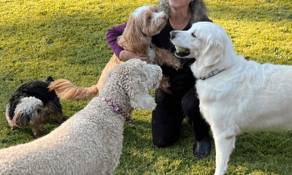 Community Highlights: Meet Linda Standard of A Tail Away, Inc. - Voyage ...