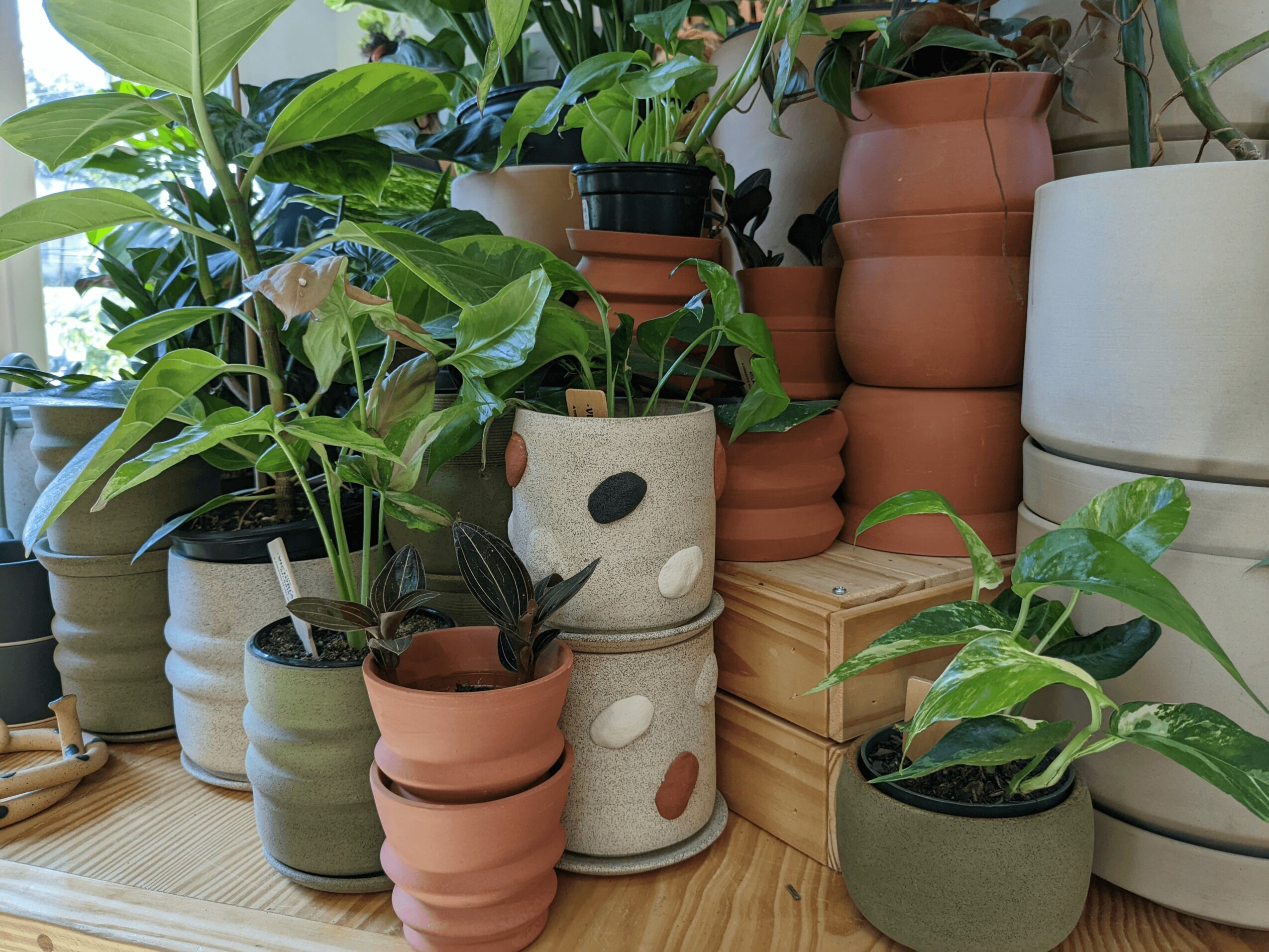 Hidden Gems: Meet Aleisha Duchateau of Utility Objects - Voyage ATL ...