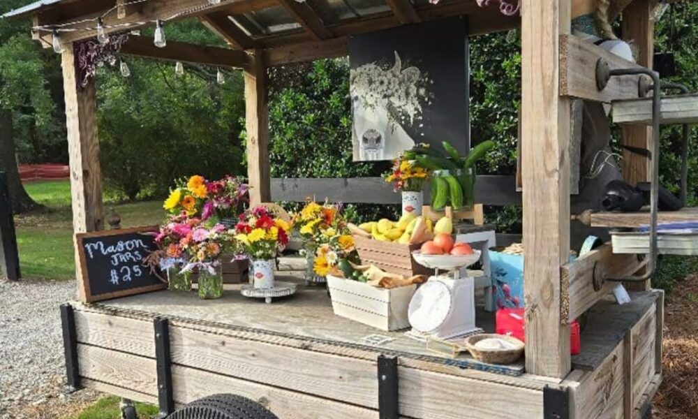 Conversations with Donna Cline - Voyage ATL Magazine | ATL City Guide