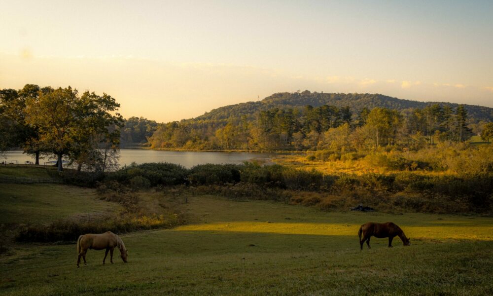 Rising Stars: Meet Sarah Atkinson of Fayetteville, GA - Voyage ATL ...