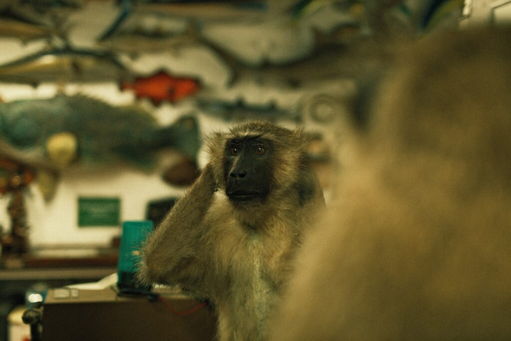 Meet Jeremy Gibbs of The Oddities Museum - Voyage ATL Magazine | ATL ...