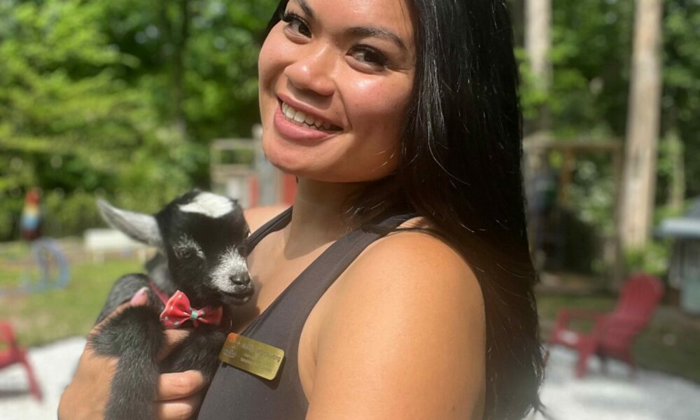 Community Highlights: Meet Maddy Yangnouvong of GGA Dwarf Goat Yoga - Voyage ATL Magazine | ATL ...
