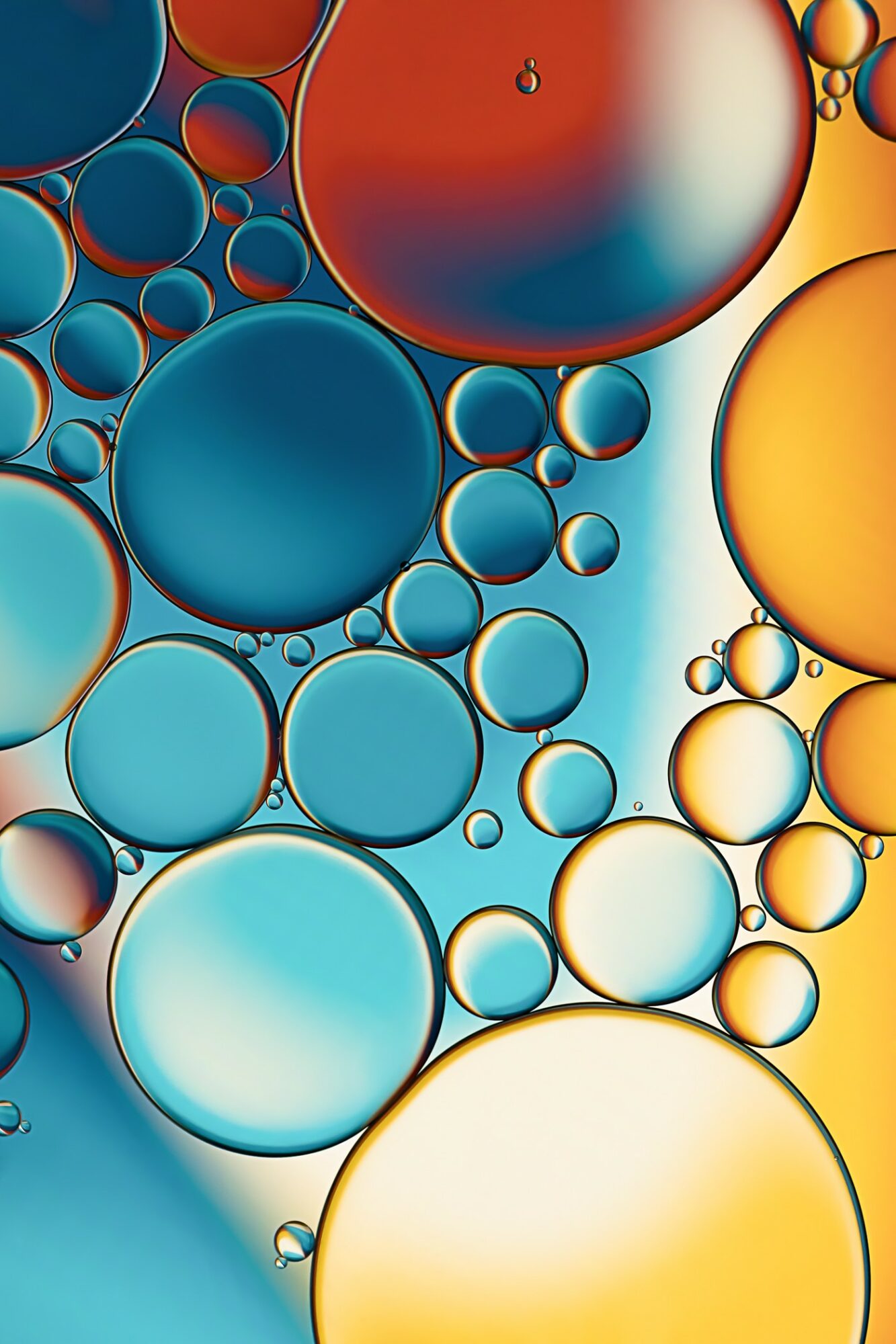 Rising Stars: Meet Lisa Thomas of Brookhaven - Voyage ATL Magazine ...