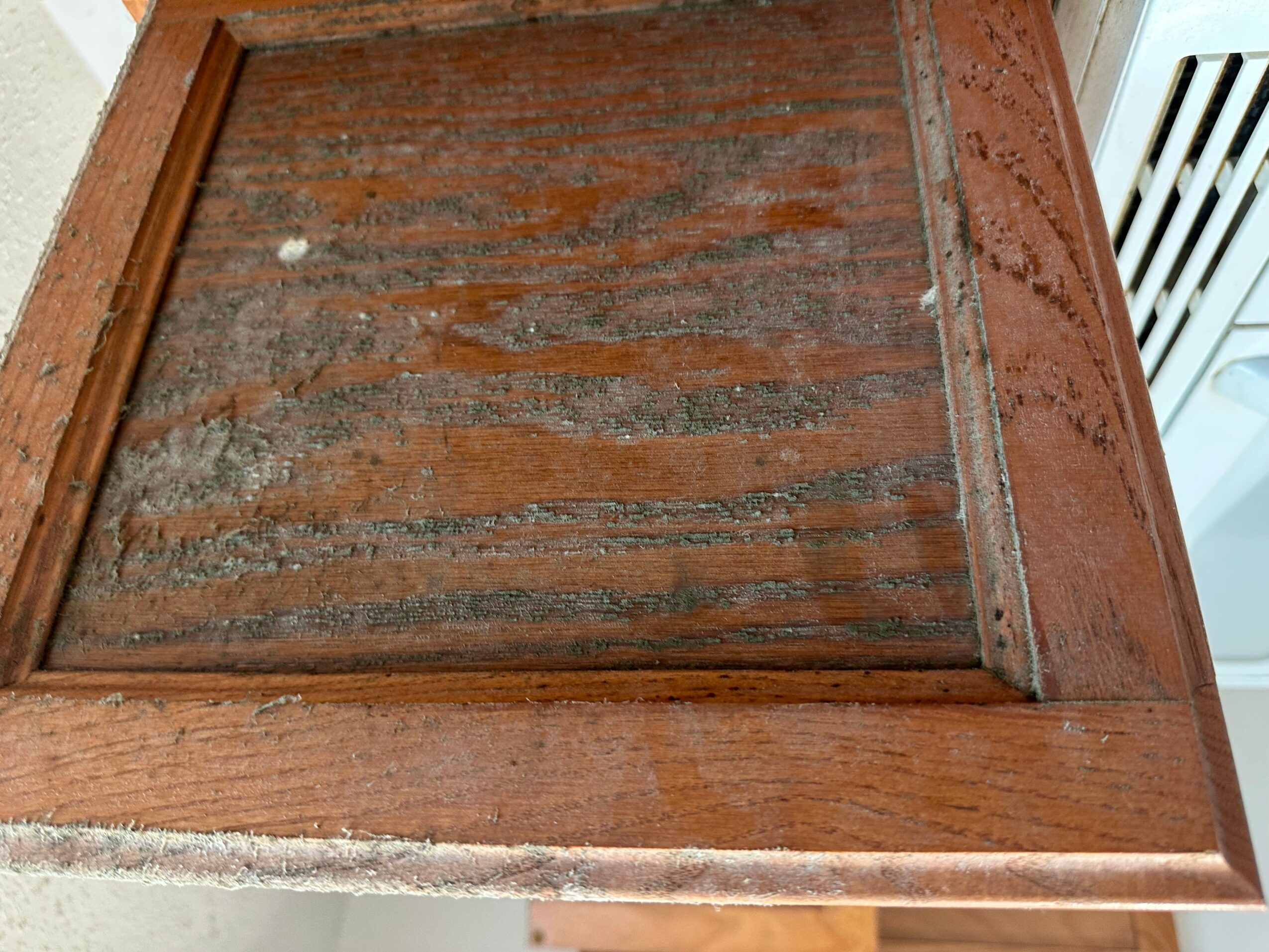 Hidden Gems: Meet Donna Nettles of Mold Gone 4 Good - Voyage ATL ...