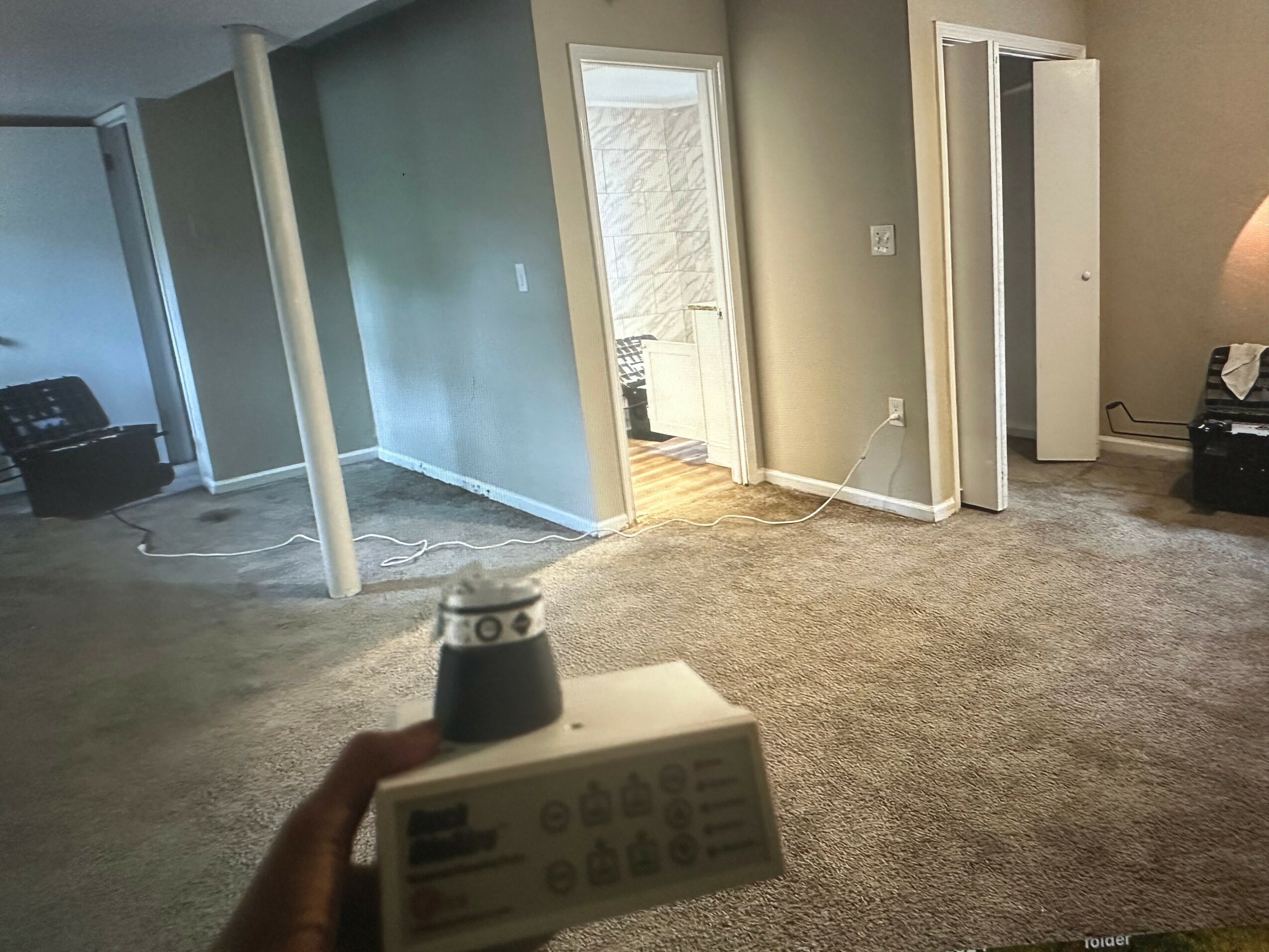 Hidden Gems: Meet Donna Nettles of Mold Gone 4 Good - Voyage ATL ...